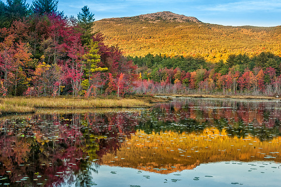 Chasing the Golden Light Photography by Howard S. Muscott | Fall | Mt ...